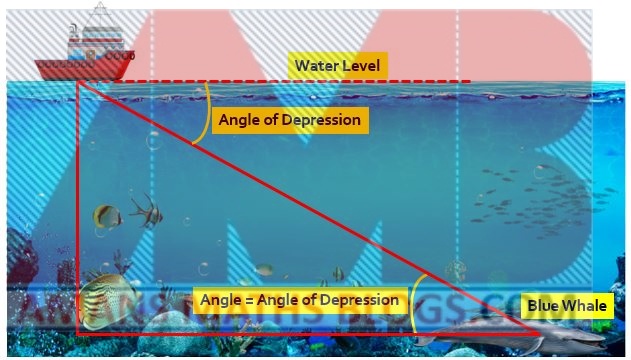 real life application of trigonometry in marine biology real life application of trigonometry in marine biology